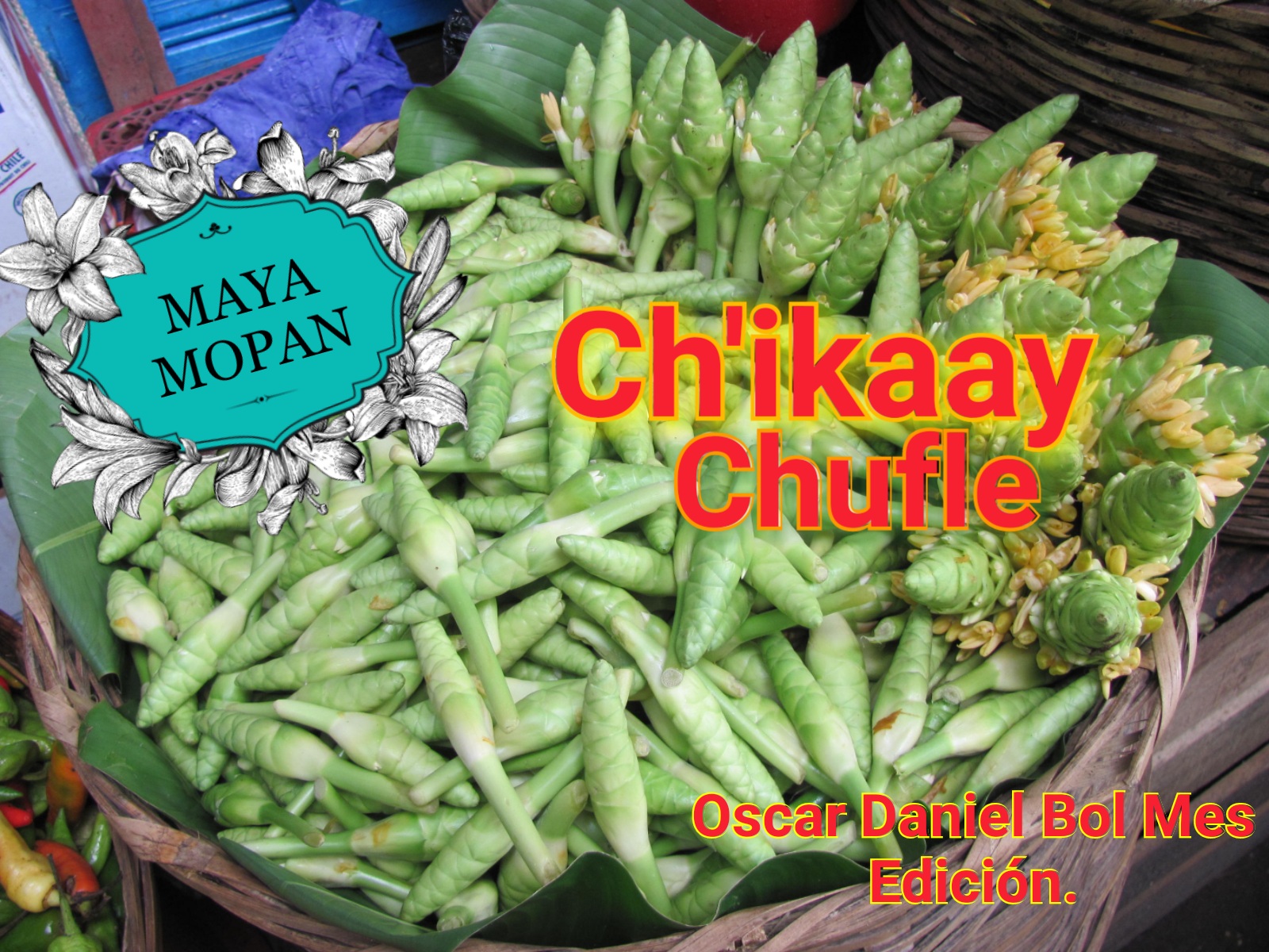 Mopan San Luis Petén. OSCAR DANIEL BOL