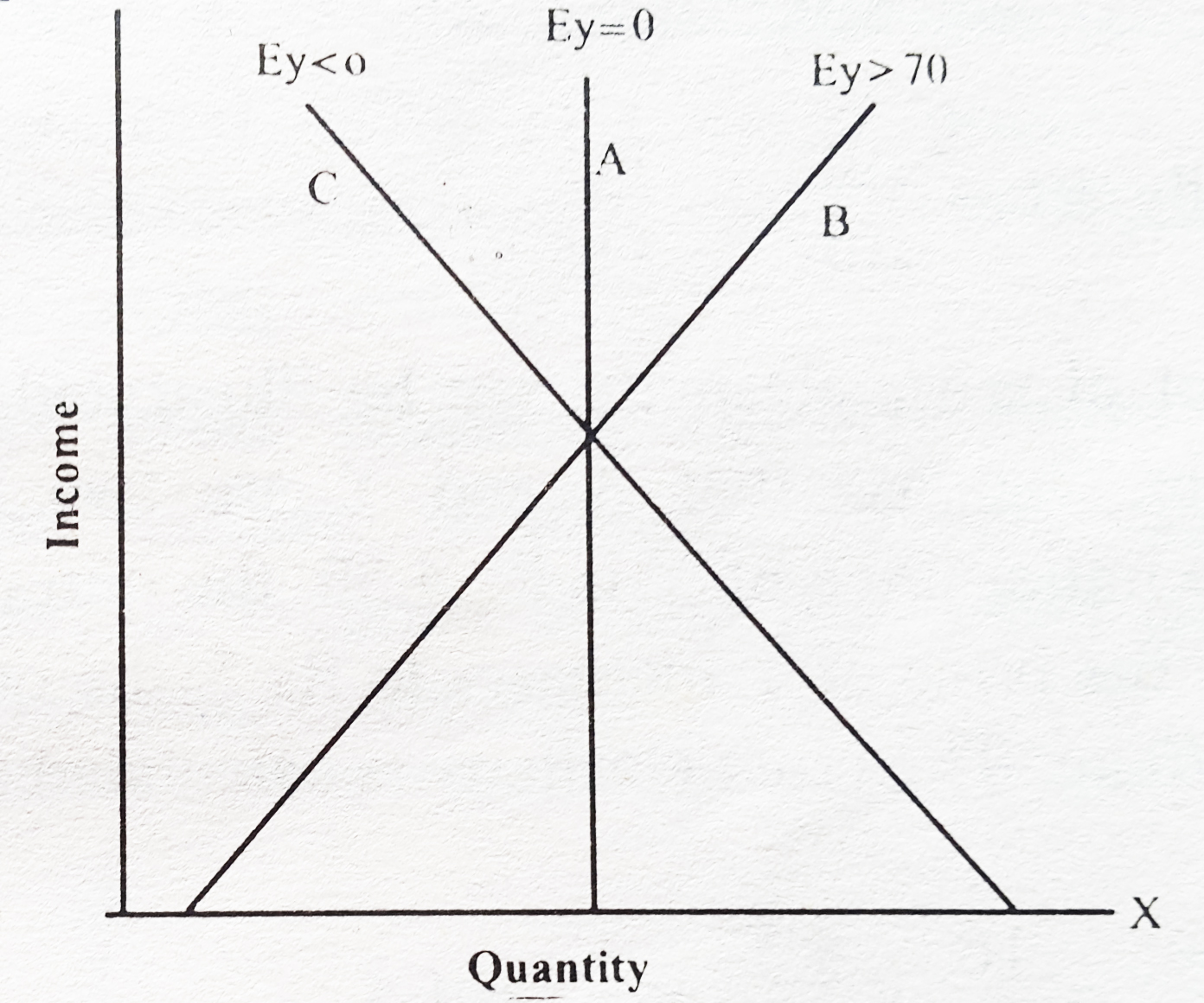 Project Management: Income Elasticity of Demand