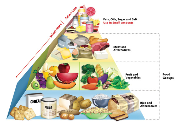 Home Economics Blog: Food Pyramid
