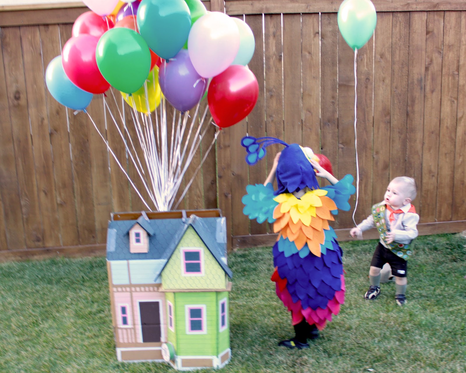 Disney Up House Costumes