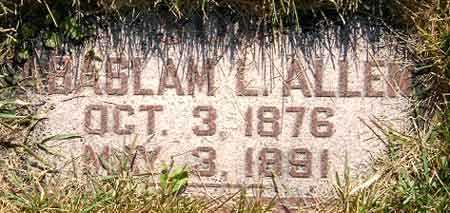 Andrew Jackson Allen