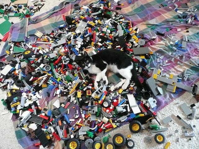 Kaori Likes Things: Caturday: Cats sleeping on Lego piles