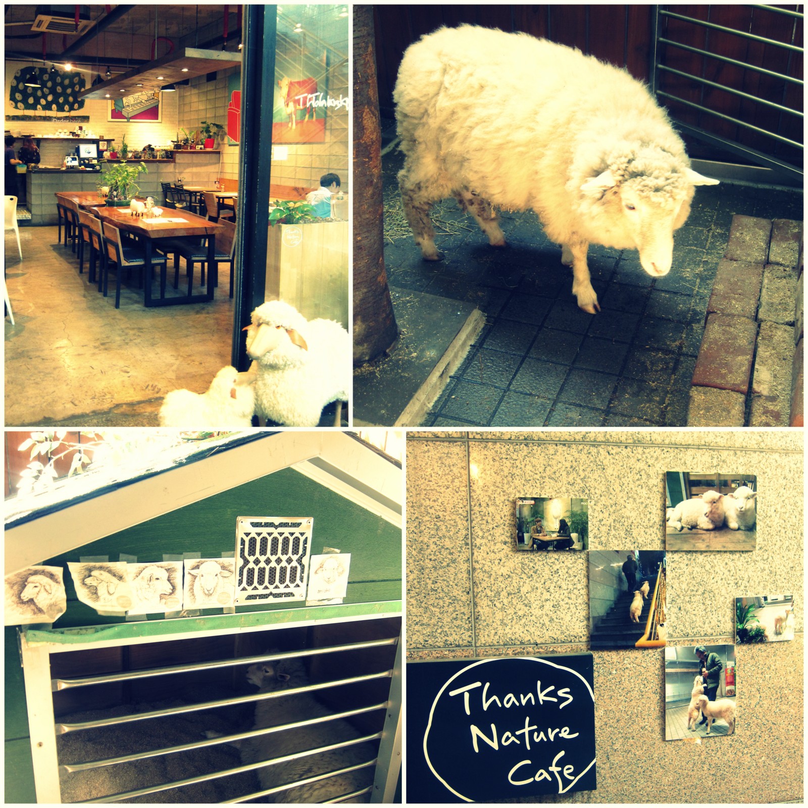 อันดับหนึ่ง 93+ ภาพ Chan Nature Cafe’ รูปภาพ ครบถ้วน