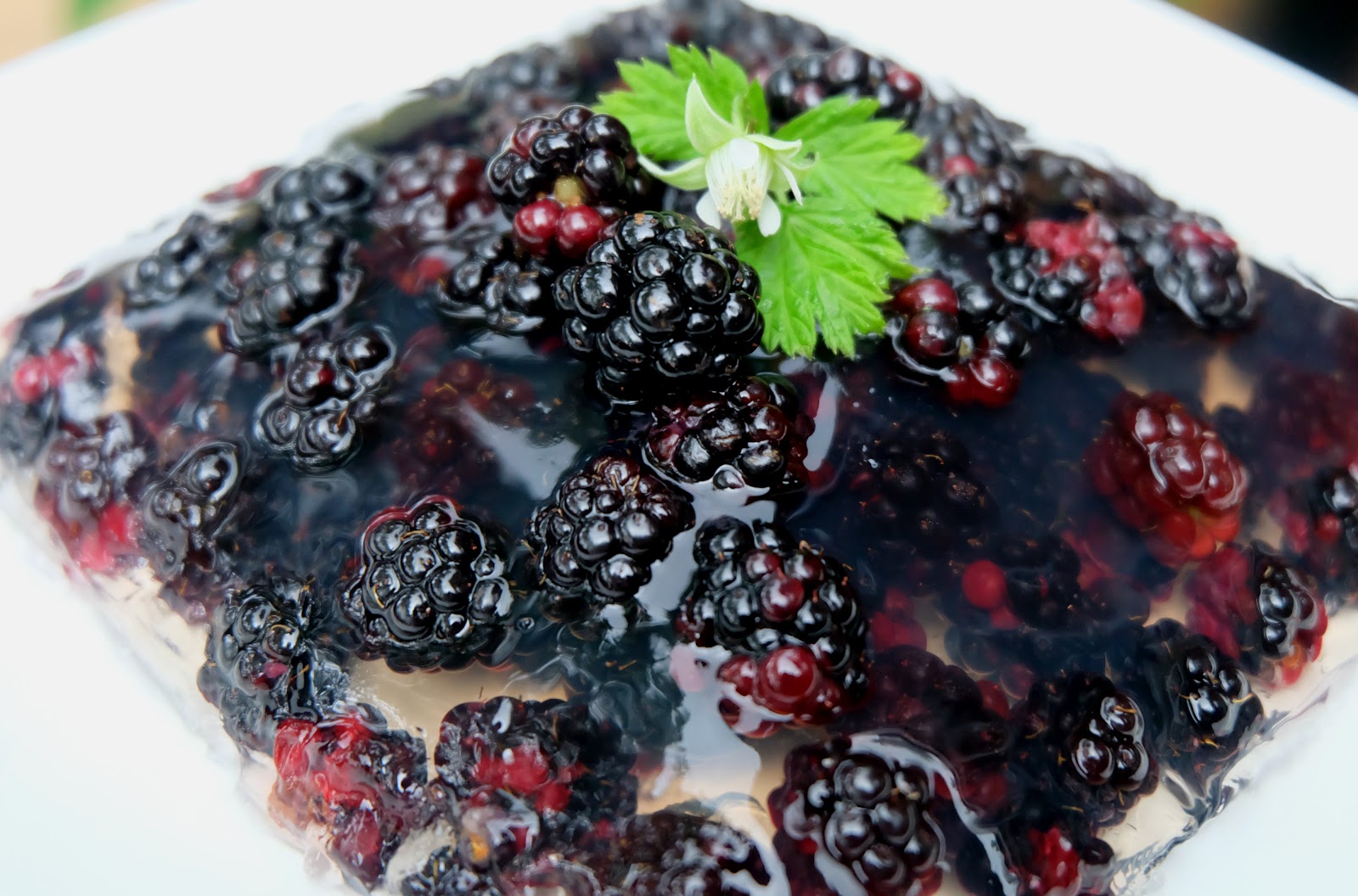 Blackberry fruit terrine in muscat jelly | weekendownik