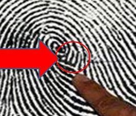 alamcyber 2020: Kalimah Allah Di Temui Di Cap Jari