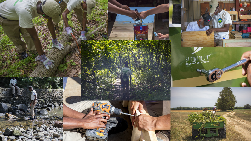 INTERNSHIP STORIES: Department Of Natural Resources, CJC Program