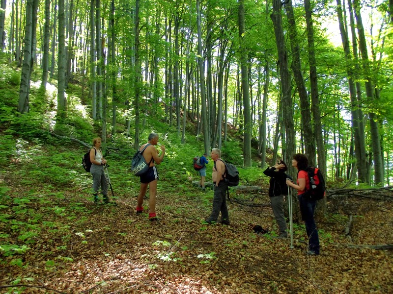 Blog de Calatorii si Drumetii Montane.: Drumetie pe dealurile de langa ...