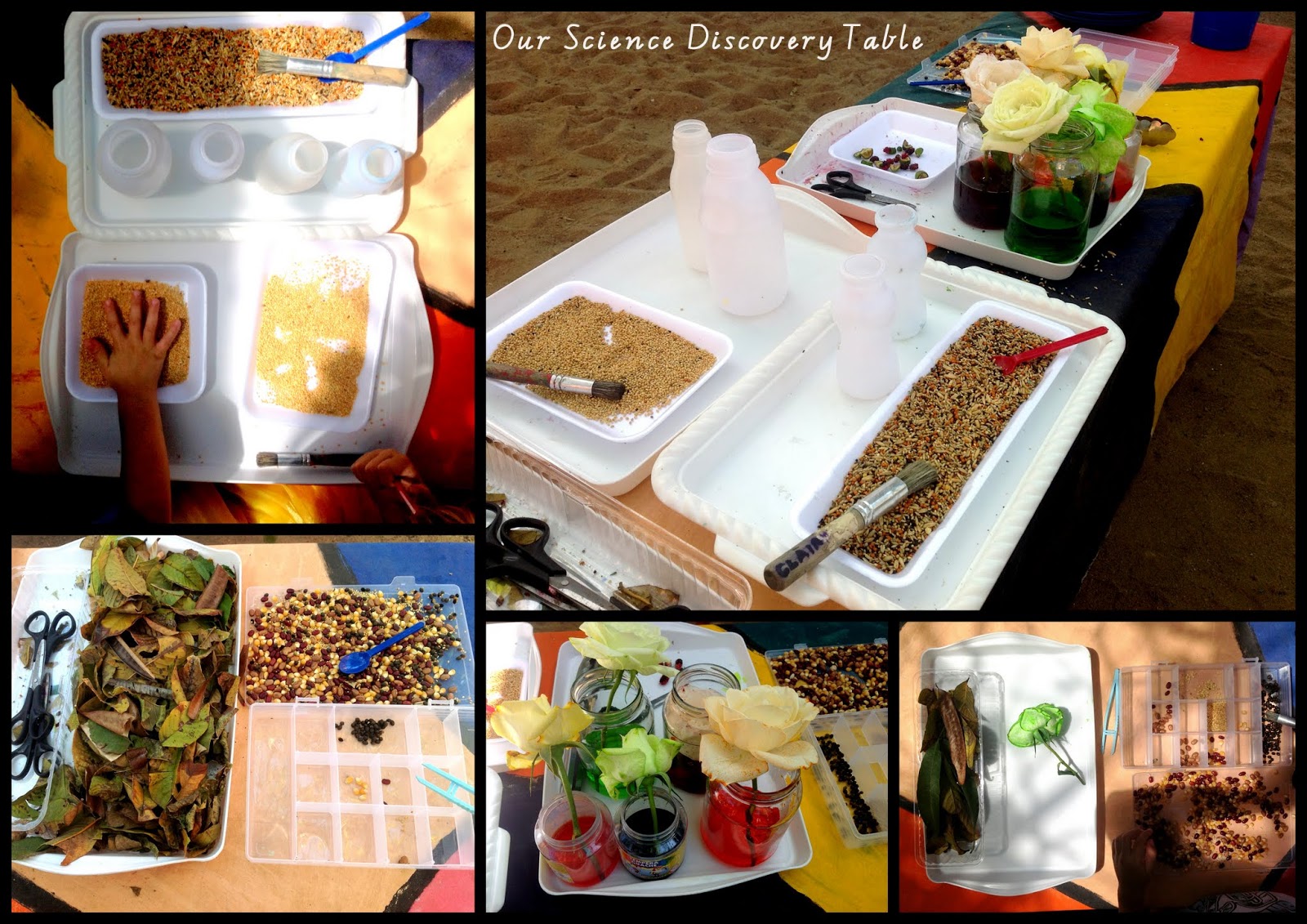 Upuerê: Discovery Table