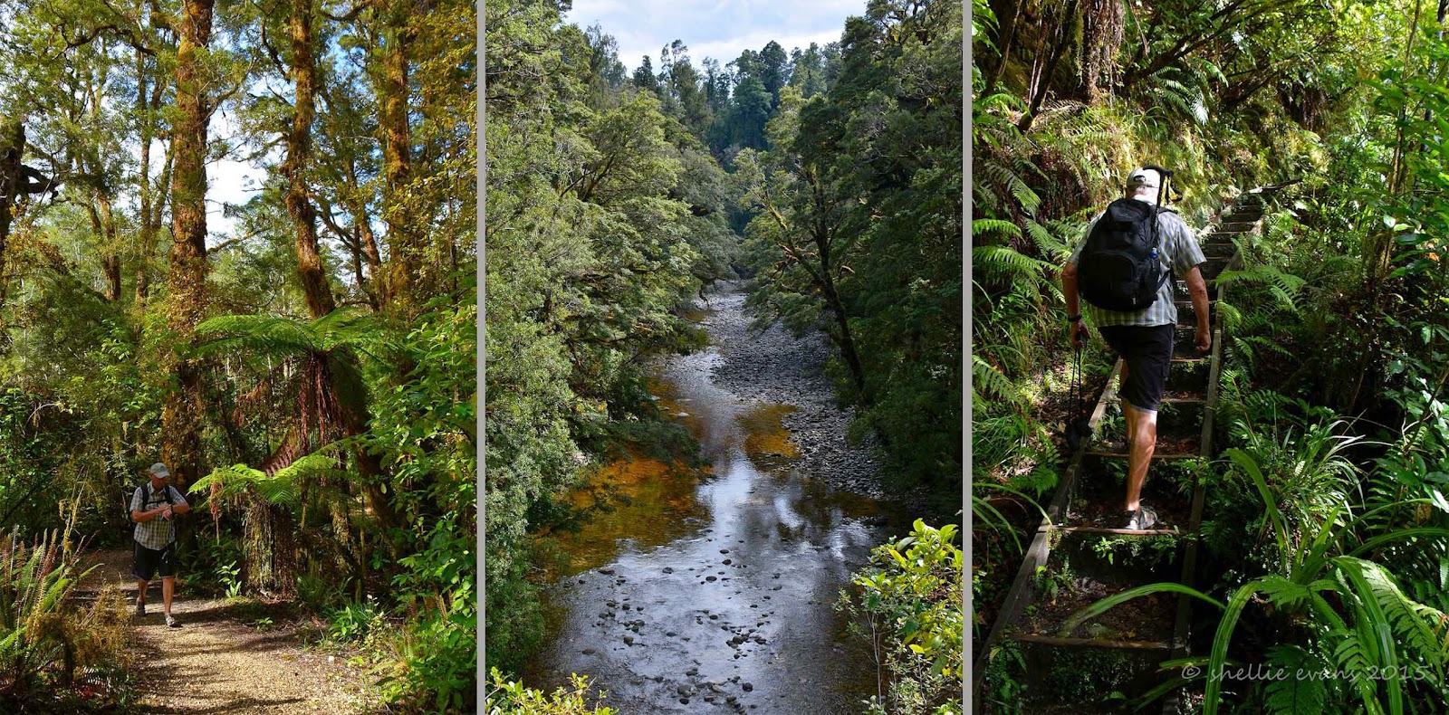 Two Go Tiki Touring: Lost World- The Oparara Basin