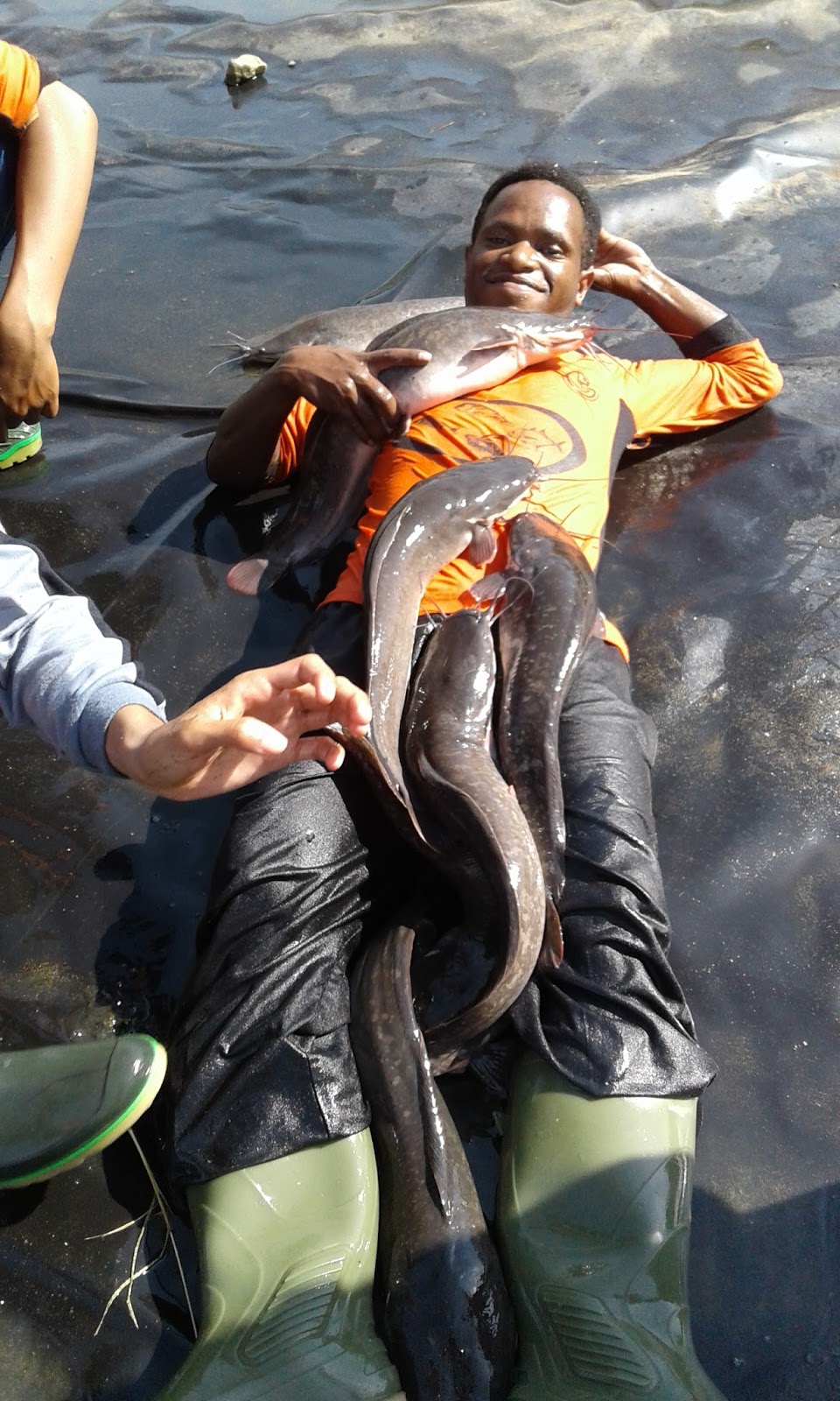 dasar-dasar budidaya ikan lele.com