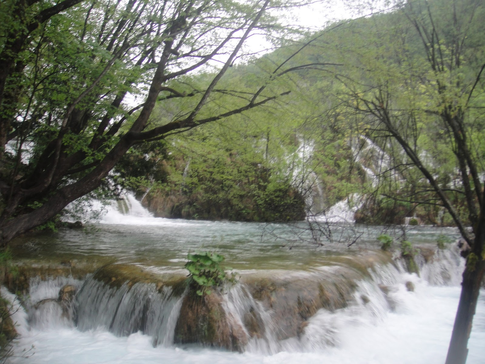 Ταξιδεύοντας στα σύννεφα..: ΛΙΜΝΕΣ ΠΛΙΒΙΤΣΕ-ΤΑΞΙΔΙ ΣΤΗΝ ΚΡΟΑΤΙΑ