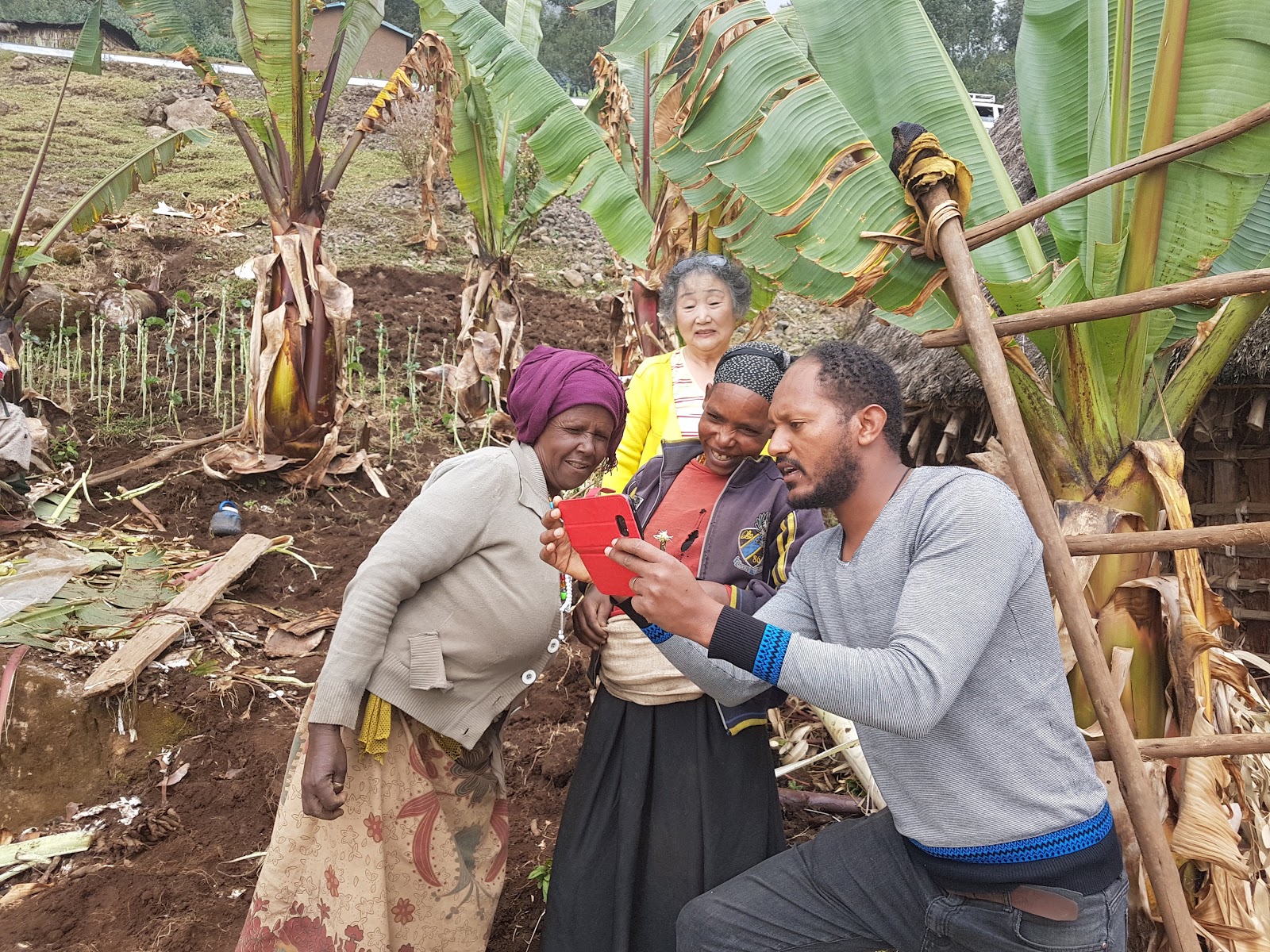 lakepurity: 검은 대륙 Africa,Ethiopia, Silte Tribe의 원시적 삶을 살아가는 가정탐방 ...