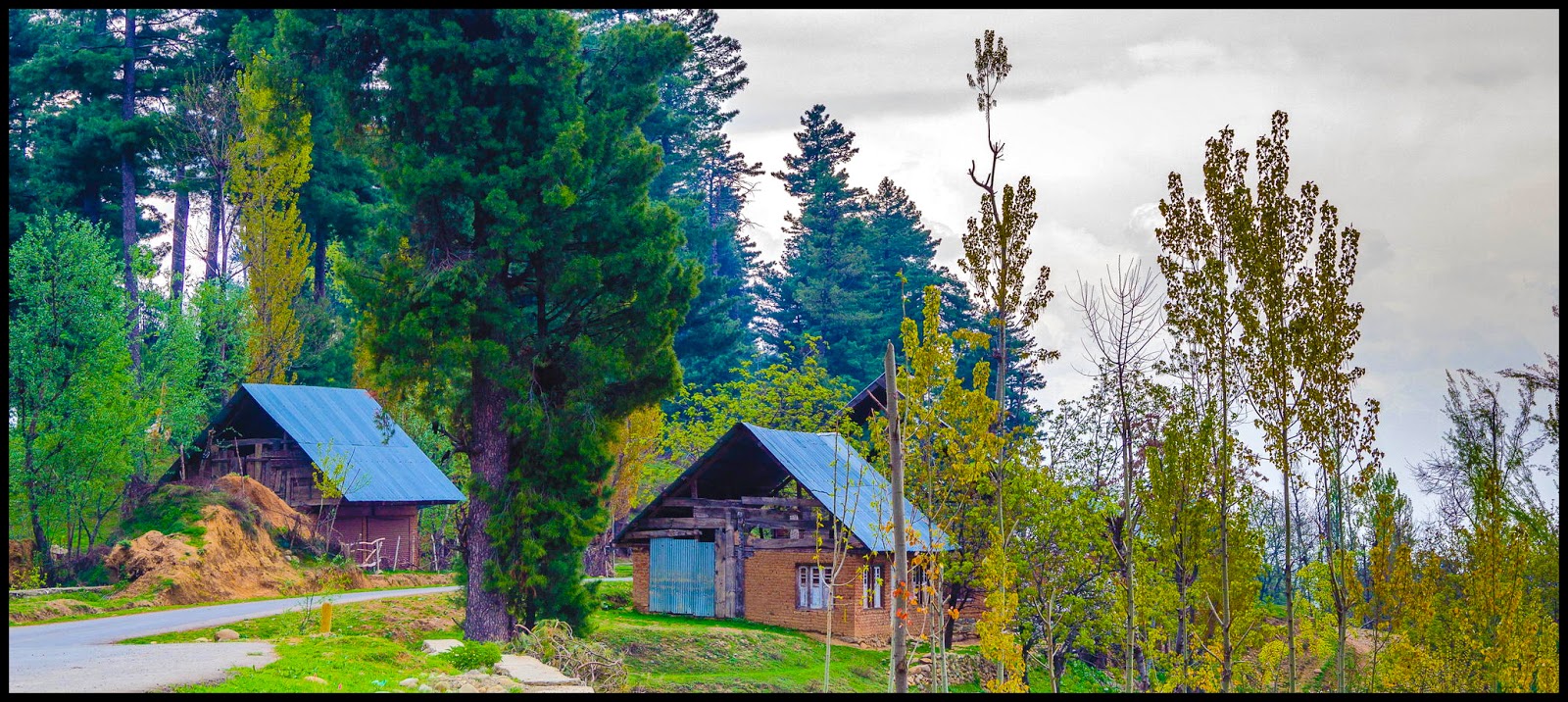 Yousmarg - Jammu and Kashmir - India | Travel life journeys