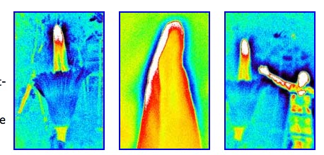 Nature Encounters Through Art: Titan Arum blooming at Franklin Park Zoo!