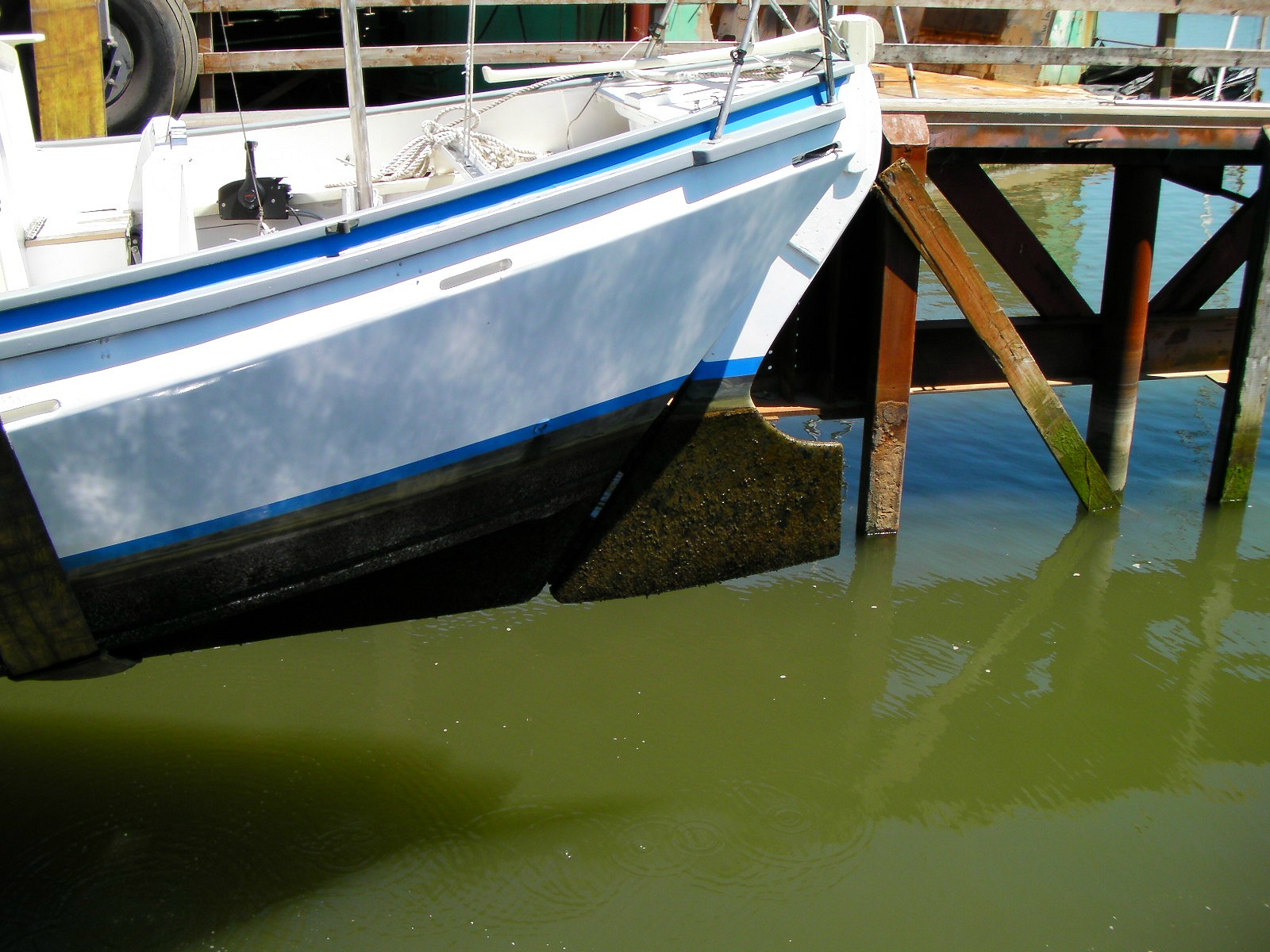 DoryMan: A Day in the Life