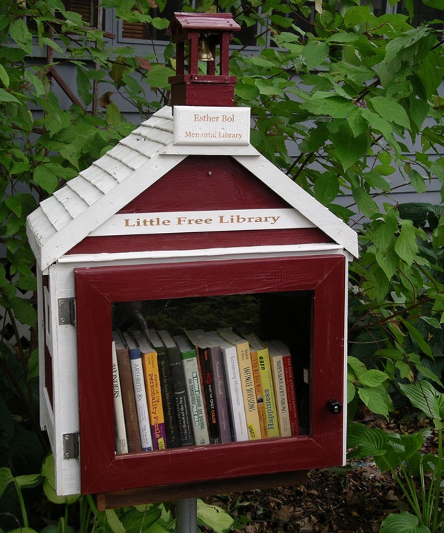 Sisu Diaries: Little Free Library Project and a Giveaway From Me!