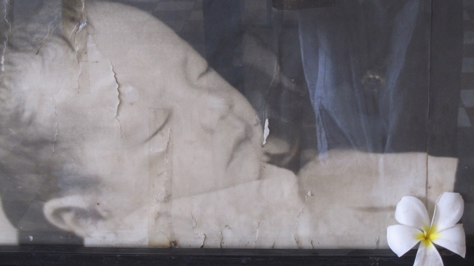 Restitution: The Killing Tree: A Haunting