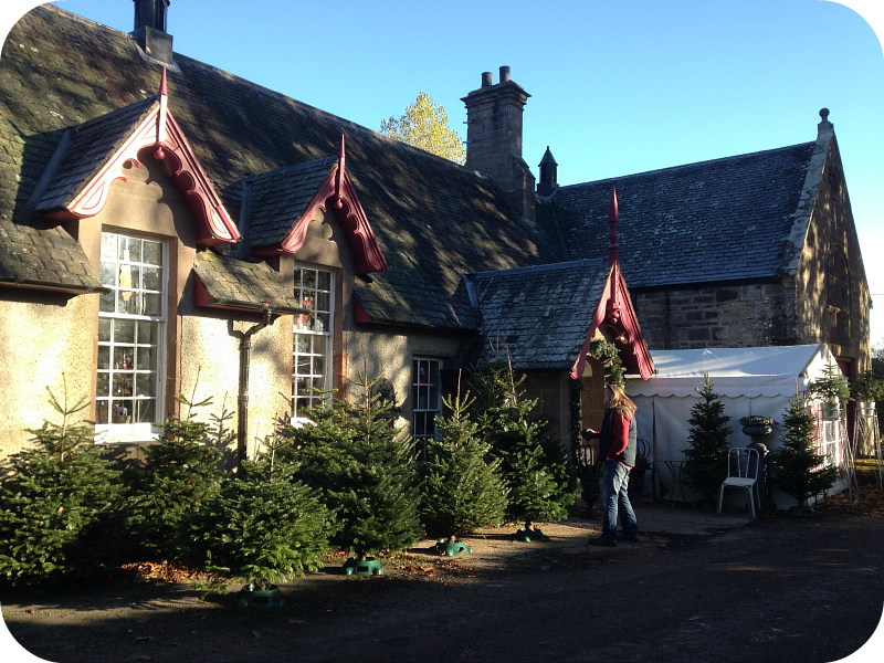 Forty Therapy: House of Farnell - the best Christmas shop......ever!!!