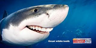 DreSay: Sharks Without Sharp Teeth