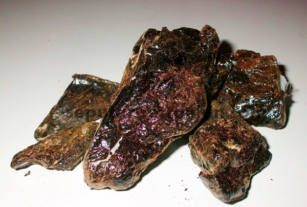 Teknik dan Cara Inokulasi (Suntik) Gubal Pohon Gaharu