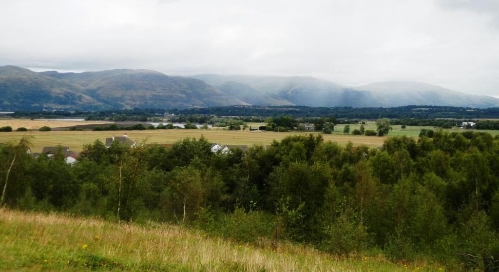 My Daily Walk: Fallin Bing