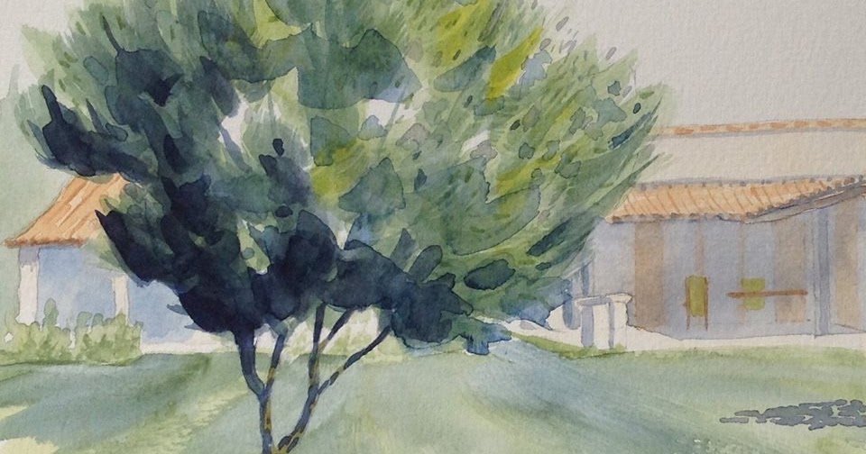 Marc VANHAMME: Aquarelles, huiles et dessins.: Olivier à La Valette. (Aude)