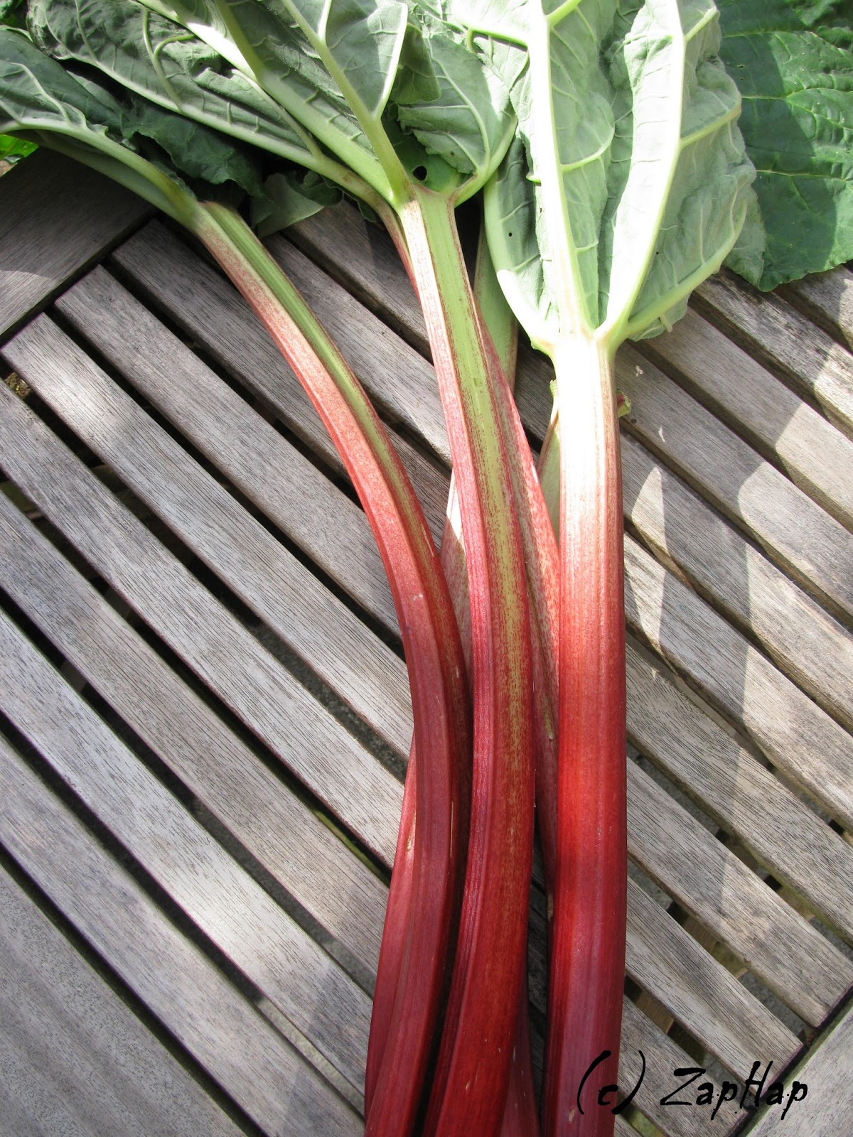 ZapHap: Rabarbercrumble