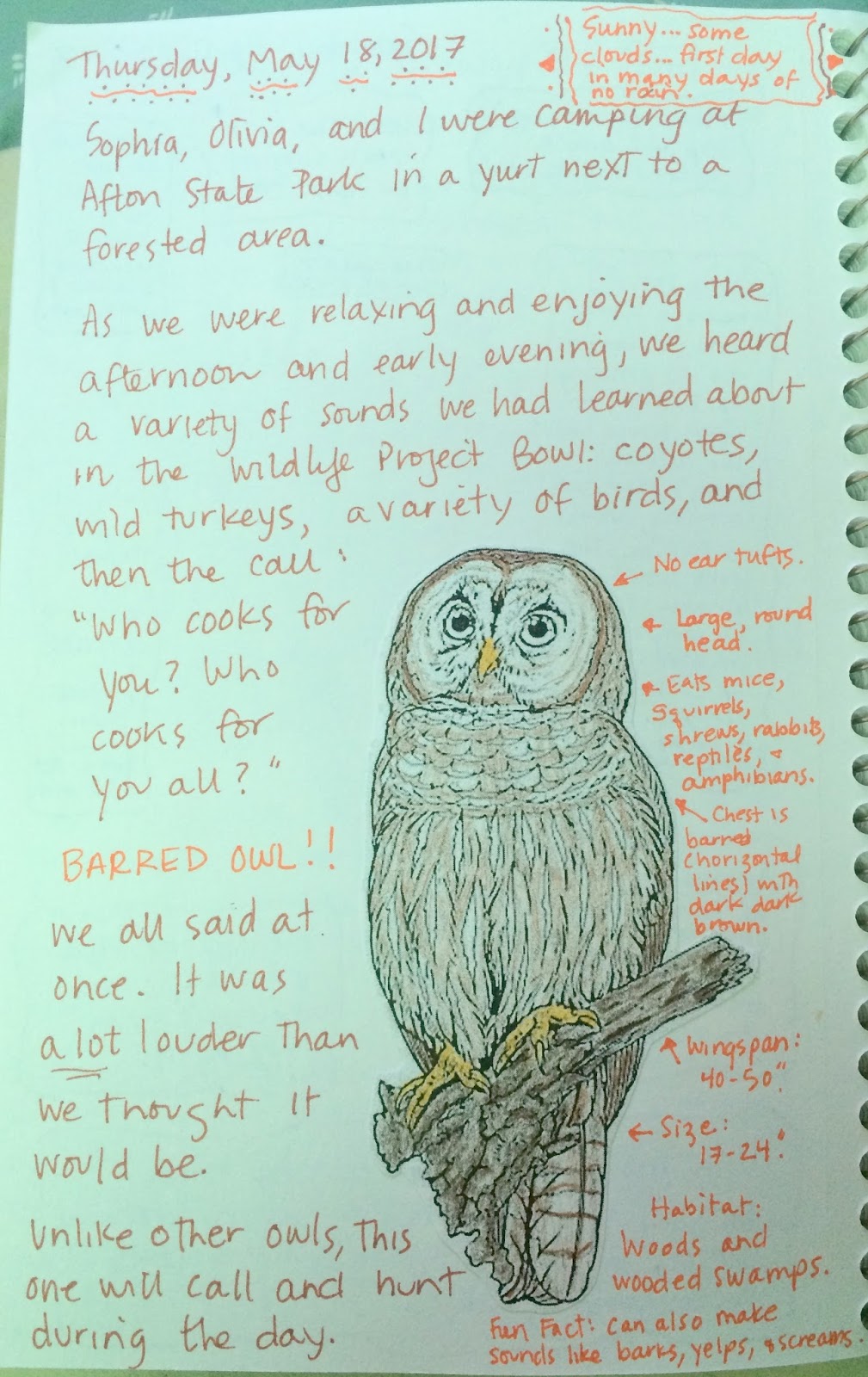 Harvest Moon by Hand: May Nature Journal Entries