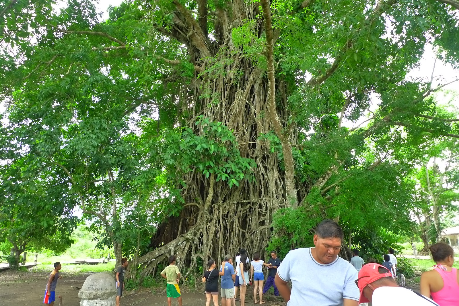 Unsubcultured: Baler sub cult tourist spot #1 - the biggest [daw ...