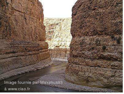 PartiTunisie Verte: GAFSA : ENSEMBLE POUR UN DEVELOPPEMENT DURABLE