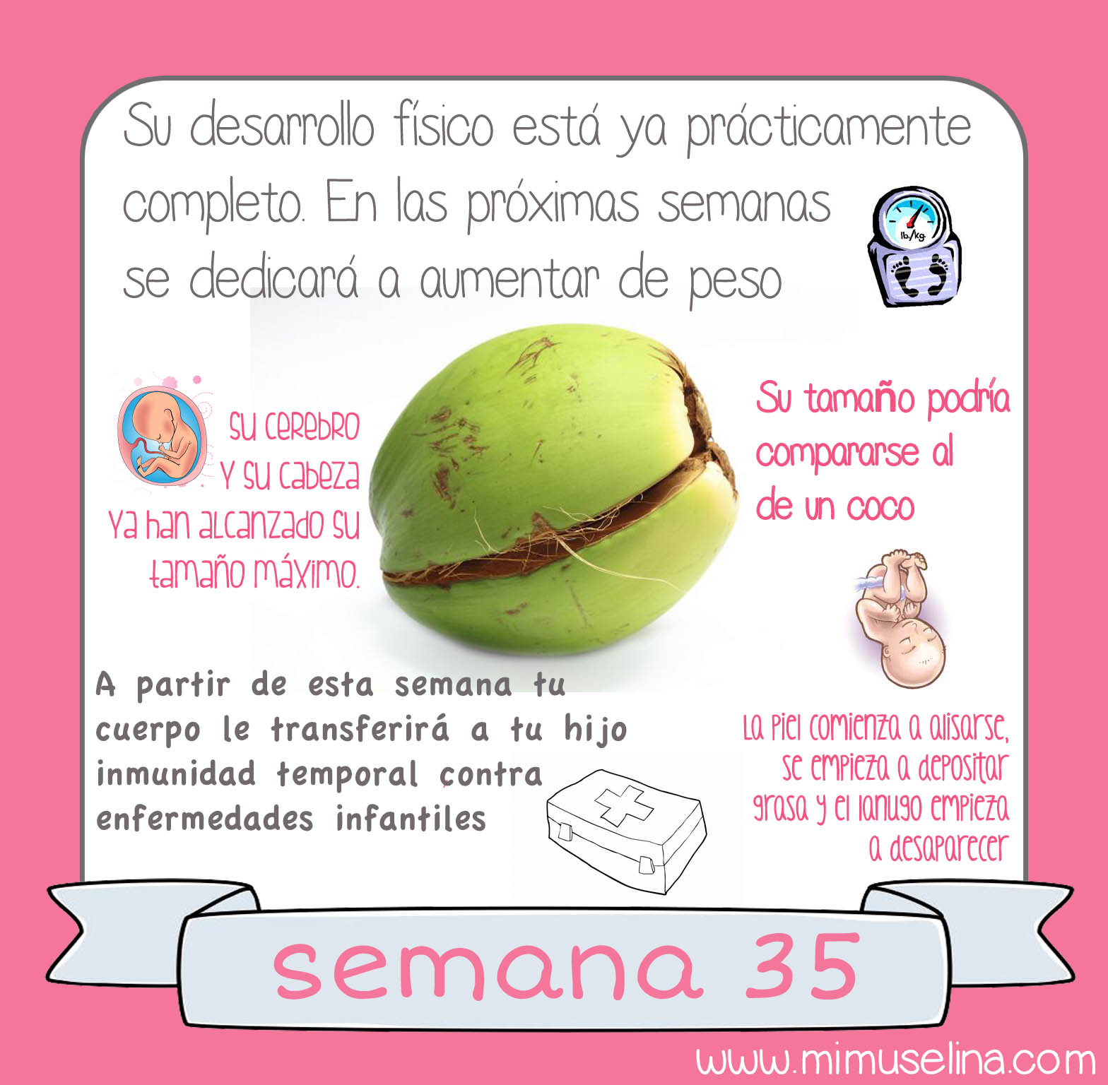 Semana 36 De Embarazo Fotos