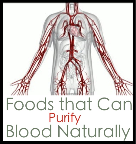 Health Medicine: 7 Foods For Blood Purifying