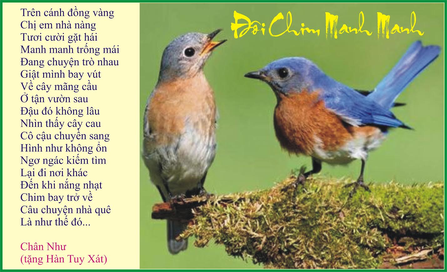 Nguyễn Huệ Hải Ngoại: Đôi Chim Manh Manh