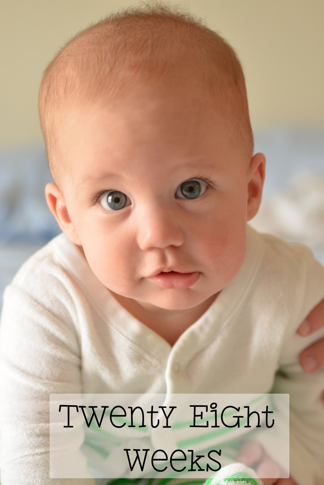 28 Weeks Weight Gain Chart: A Visual Reference of Charts | Chart Master