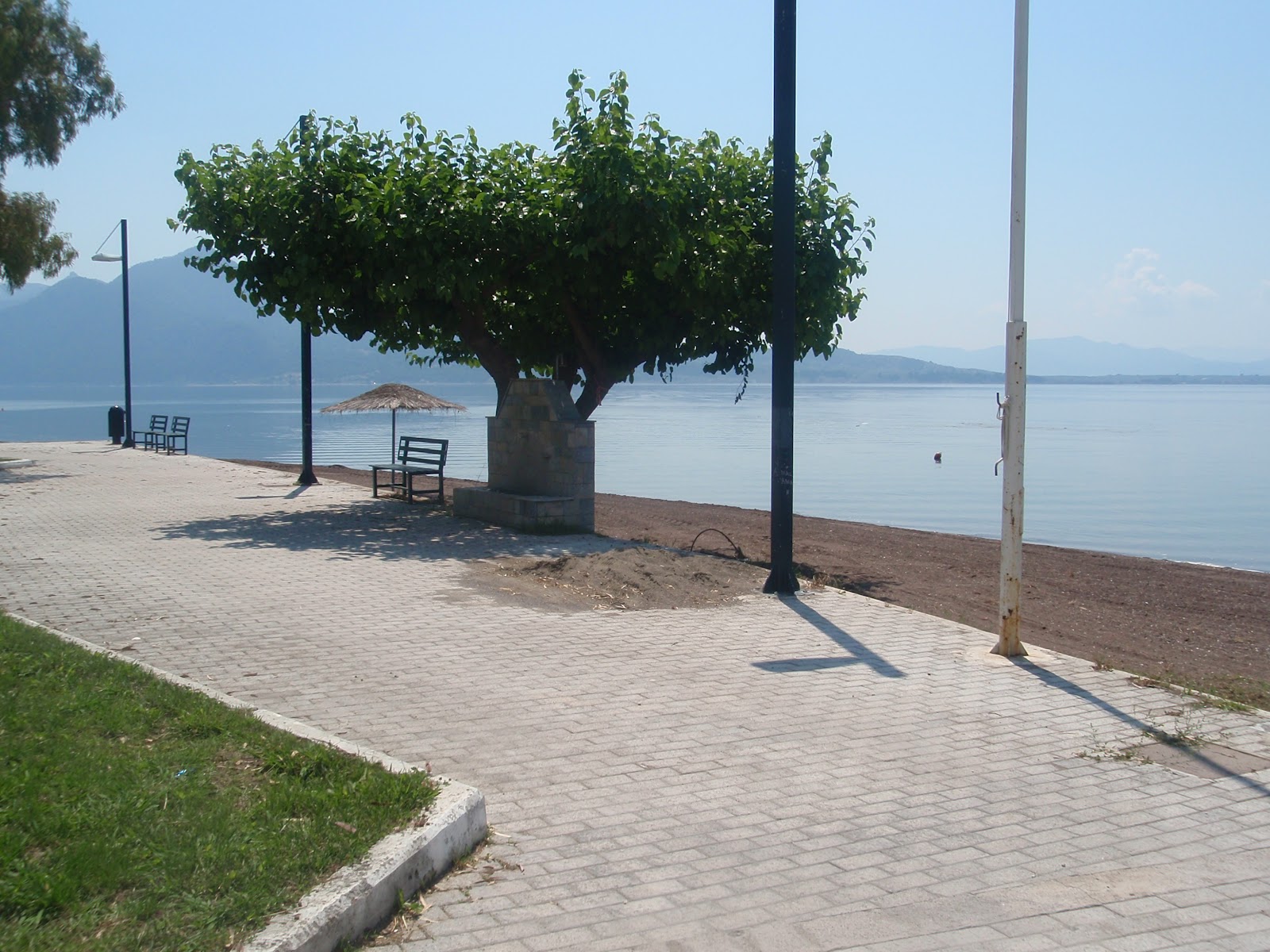 ΠΟΛΙΤΙΣΤΙΚΟΣ ΣΥΛΛΟΓΟΣ ΑΧΛΑΔΙΩΤΩΝ "ΤΟ ΧΡΥΣΑΜΠΕΛΟ" (ΚΟΥΜΠΑΟ ...