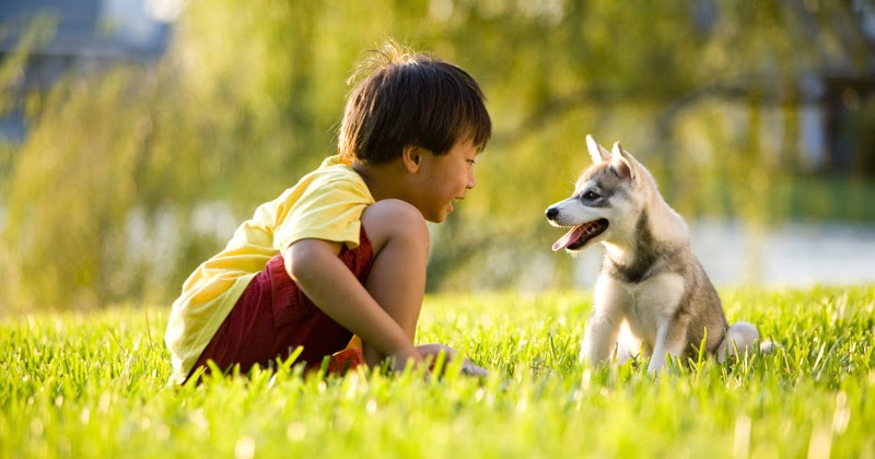 What Pets Do Children Have, And Which Do They Prefer?