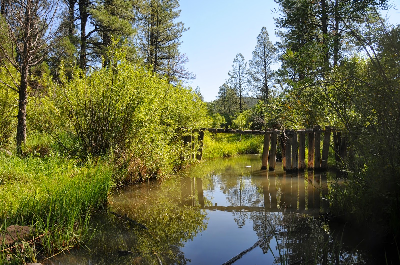 Arizona Hiking: OSPREY CONNECTOR to ICE CAVE
