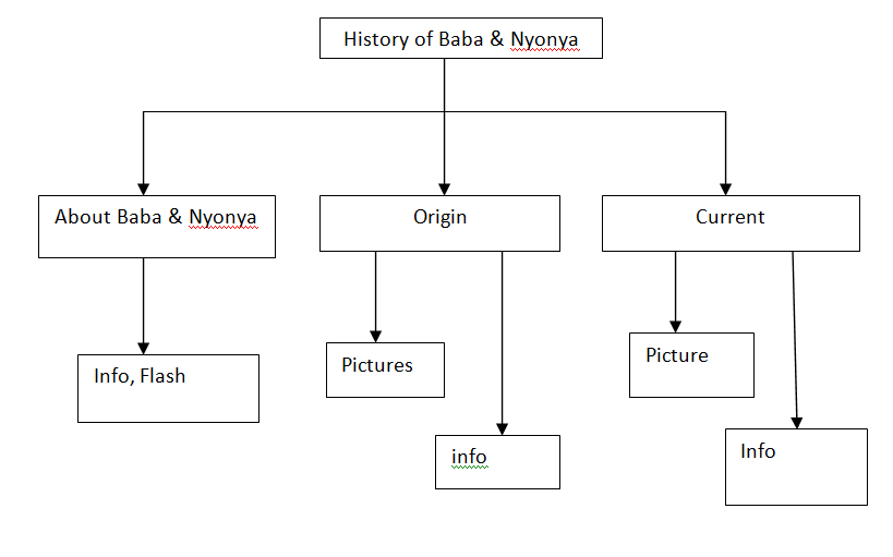 Culture of Baba & Nyonya: Lim Hong Yuen - History of Baba & Nyonya