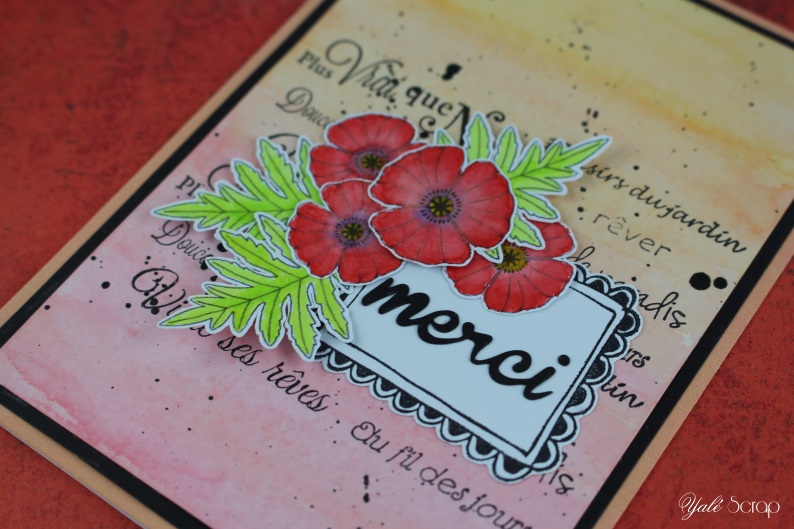 Histoire de...: Scrap'carte aux coquelicots {merci}