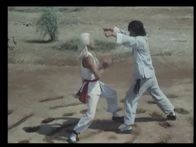 SHAOLIN'S BORN INVINCIBLE a.k.a BORN INVINCIBLE