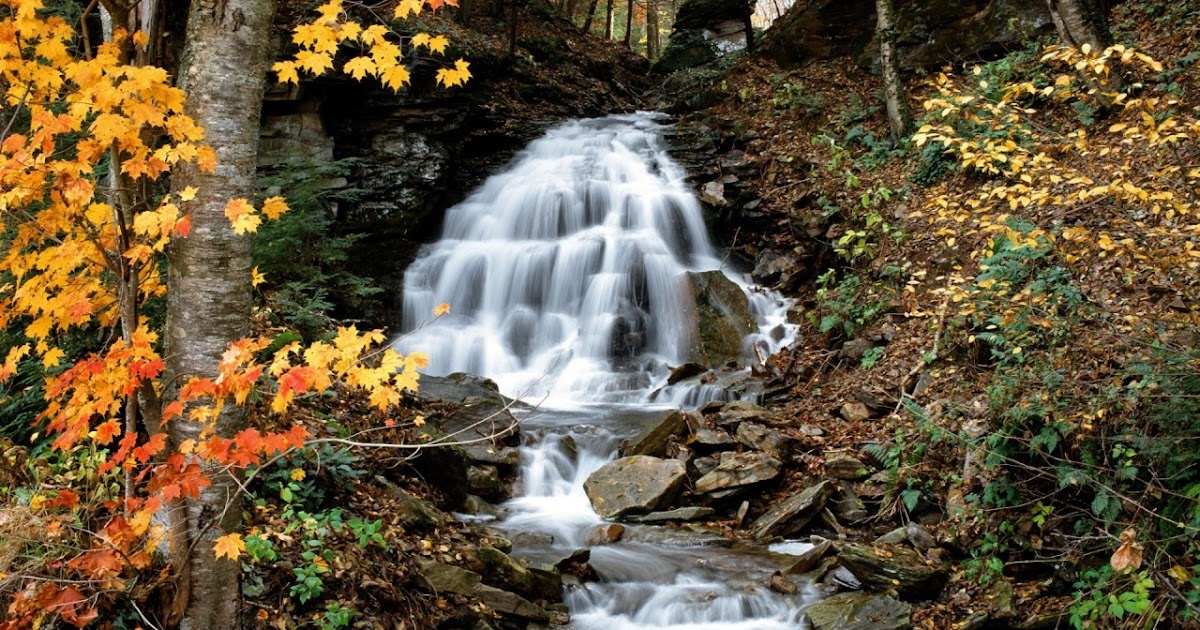 GEOLOGIA: LES ROQUES