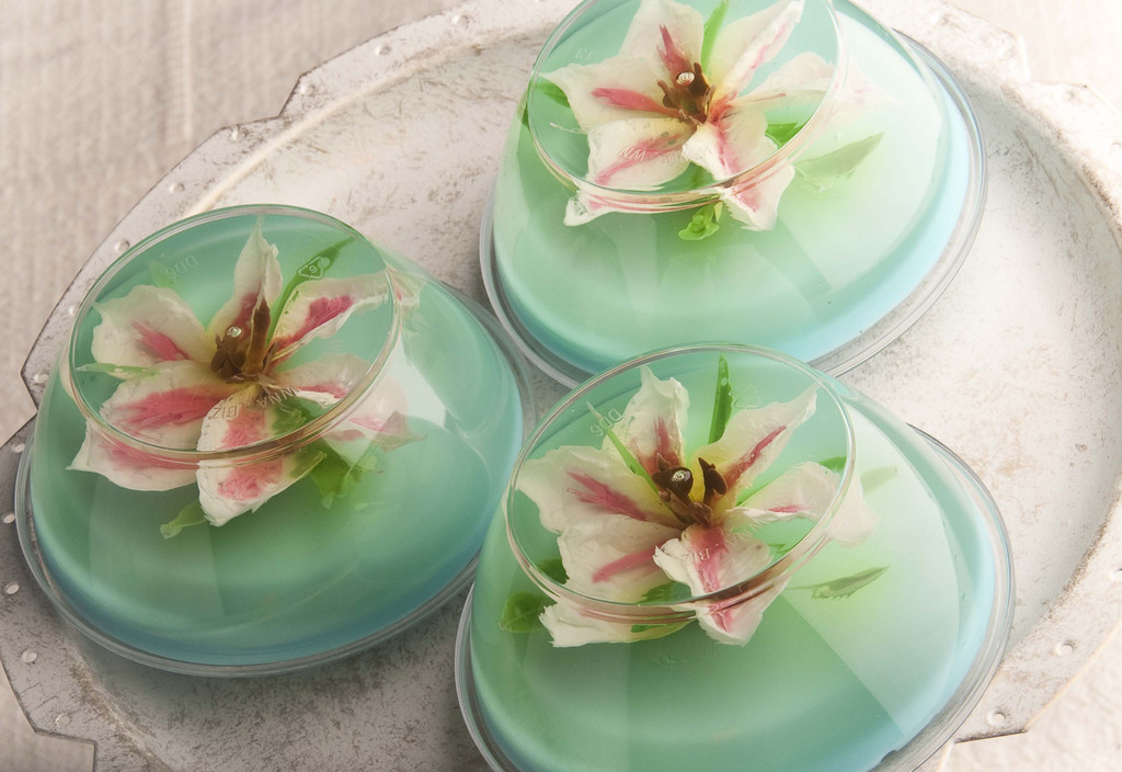 Nickle Pickle's Corner: Awesome Things: #2 (Gelatin Flowers)