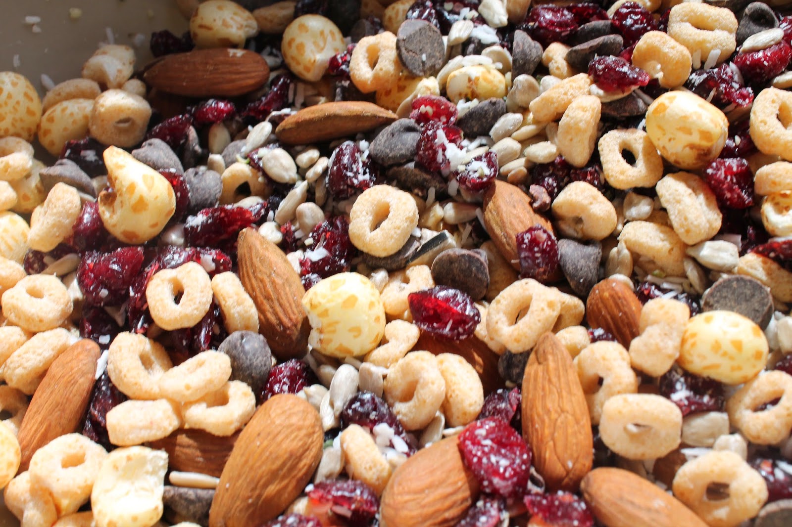 Lisa Tsakos, RHN: Super Easy Gluten-Free Trail Mix Recipe