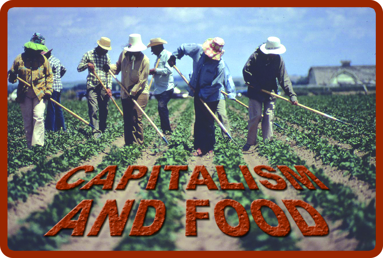 SOCIALISM OR YOUR MONEY BACK: Capitalism and Food: Consuming Hunger