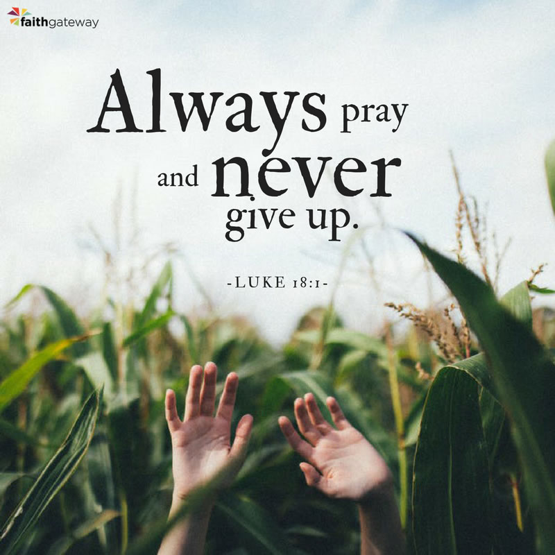 This And That About The Word Of God Never Give Up this-and-that-about-the-word-of-god-never-give-up