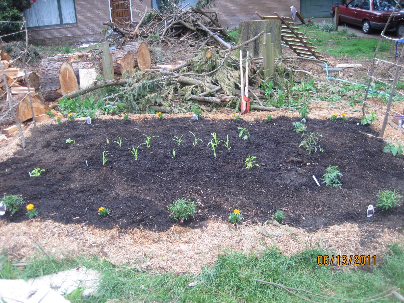 I SEE LEAD PEOPLE: Terrain Lab - Garden Patches