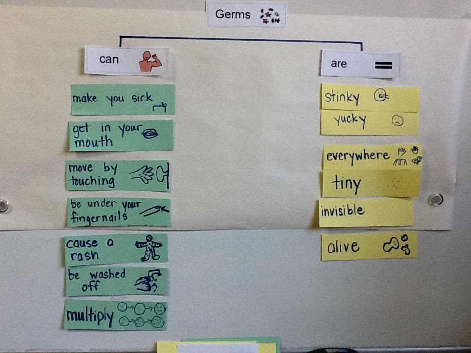 TK TSGI Sensory and Communication Preschool: Germs Tree Map