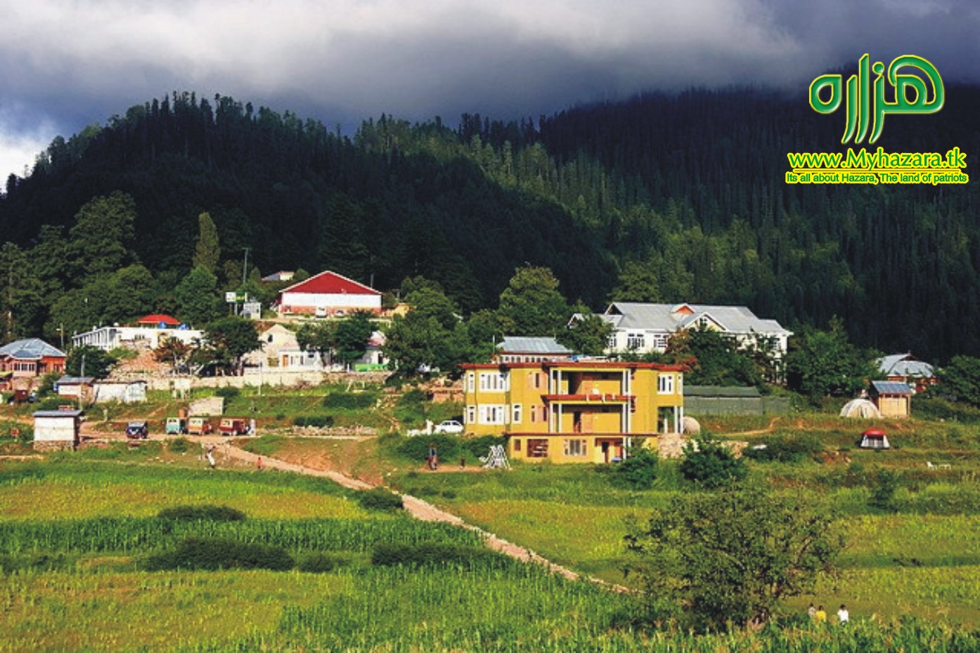 Pakistan Natural Beautiful: Naturally Beauty District Mansehra in Pakistan