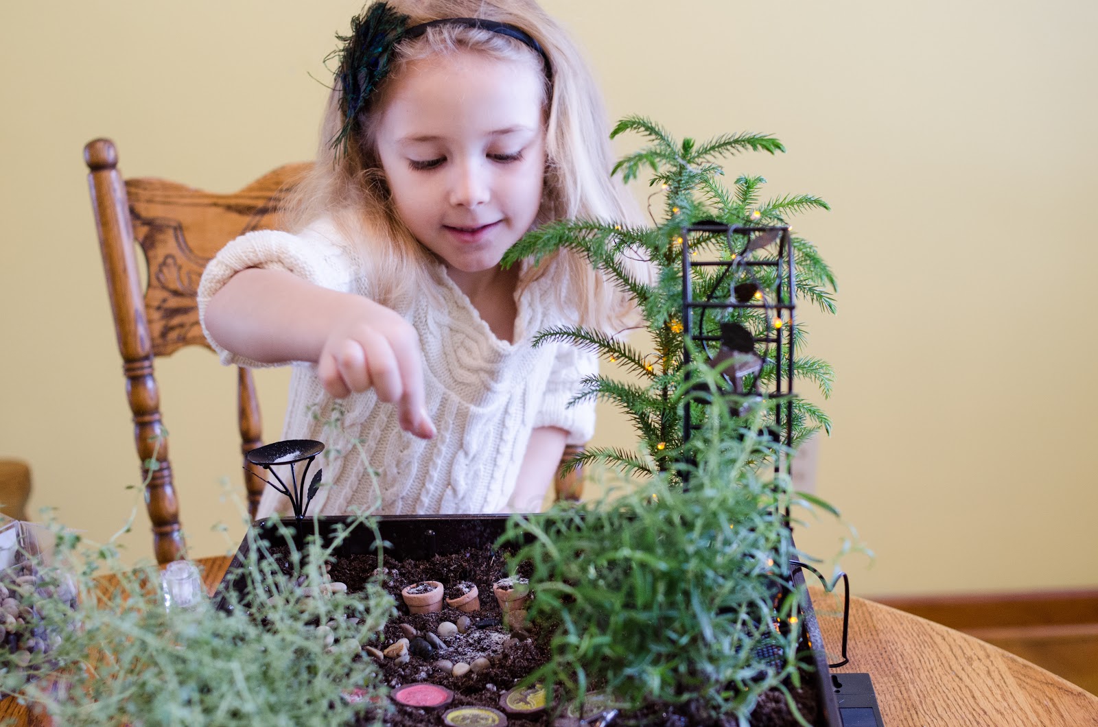 Picturing the Ordinary: All you need is a little bit of pixie dust...