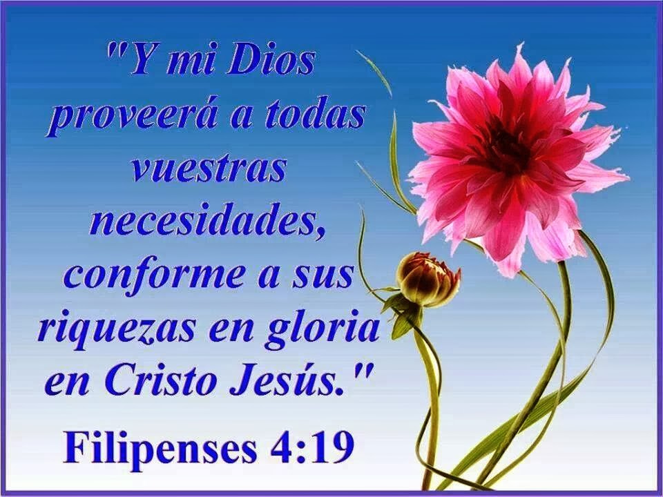 Mi Gran Amor : Dios Proveera